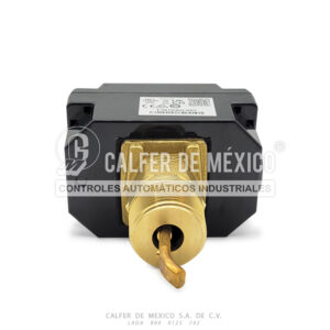 SWITCH DE FLUJO PARA AGUA Y VAPOR, F261KAH-V01C – CALFER DE MÉXICO